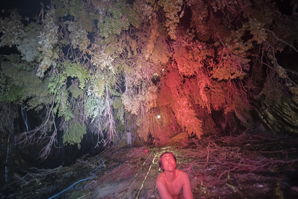 東京都写真美術館